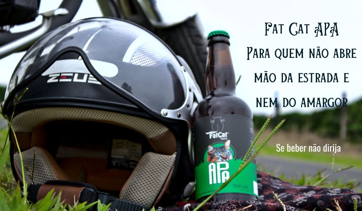 Fat Cat Beer – cervejaria Fat Cat
